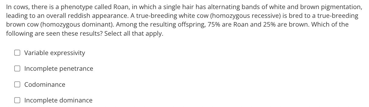 Solved In cows, there is a phenotype called Roan, in which a | Chegg.com