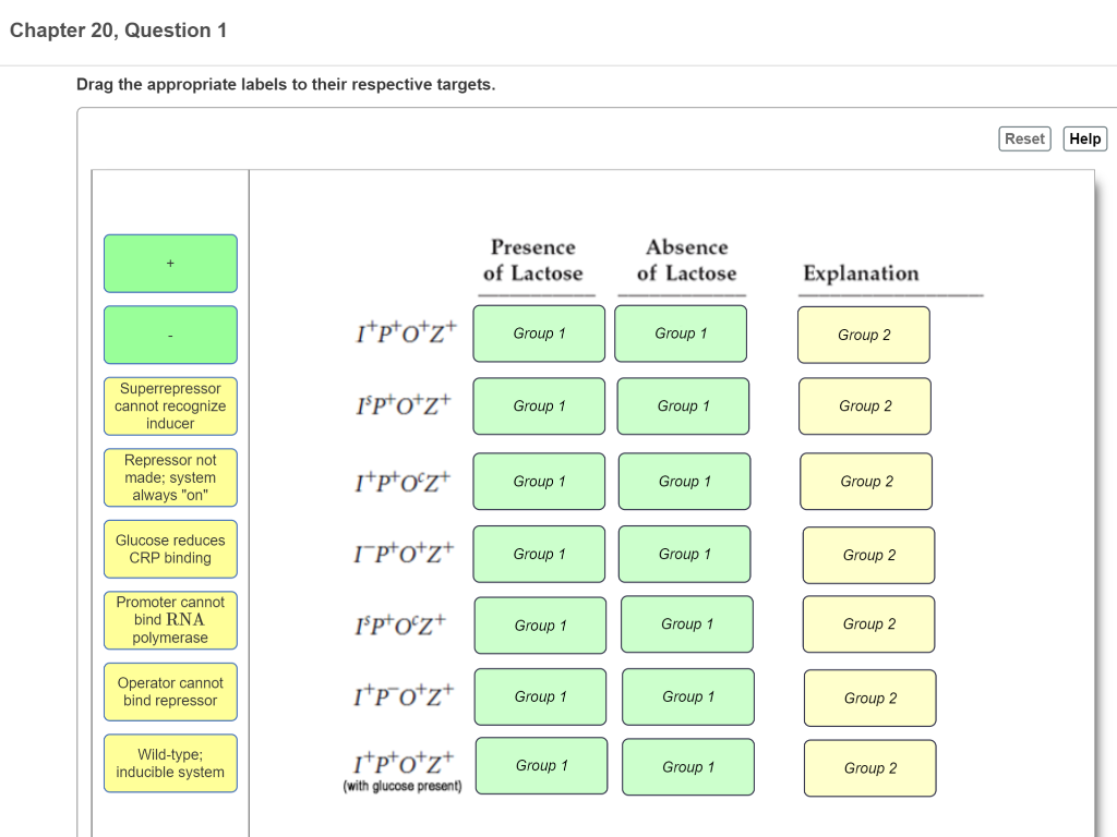 Solved Part A For each strain, indicate whether the lacZ | Chegg.com