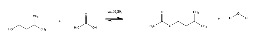 Solved Fisher esterification reaction: Could the | Chegg.com