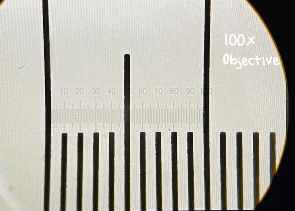 Solved 10x Objective 0 10 20 30 40 50 60 70 80 90 100 4 x | Chegg.com