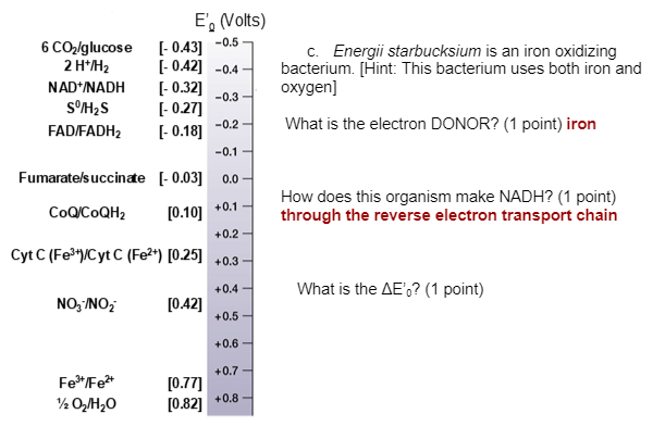 Solved c. Energii starbucksium is an iron oxidizing | Chegg.com Solved c. Energii starbucksium is an iron oxidizing | Chegg.com
