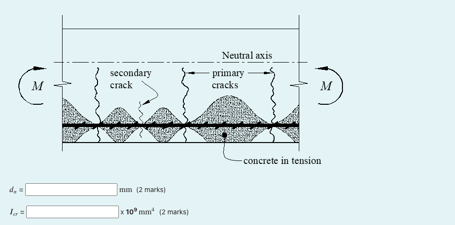 Solved The point loads are placed at the fixed positions | Chegg.com