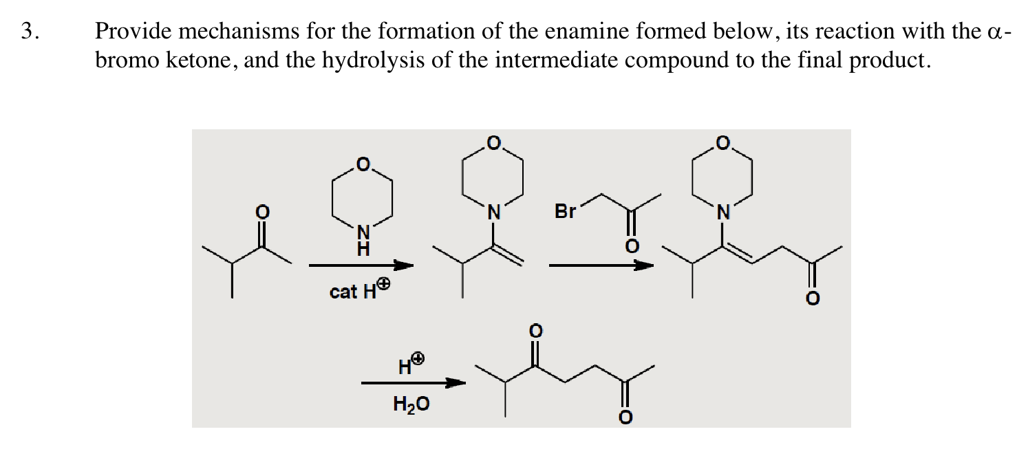 Solved Provide mechanisms for the formation of the enamine | Chegg.com