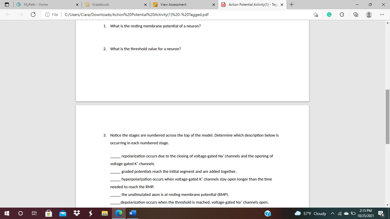 Solved MyPath - Home Gradebook View Assessment Action | Chegg.com
