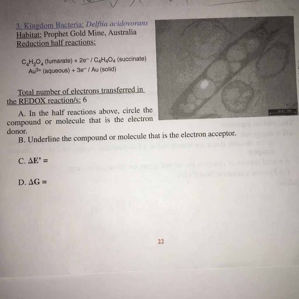 Solved 3. Kingdom Bacteria: Delftia acidovorans Habitat: | Chegg.com