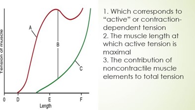 Solved 1. Which corresponds to "active" or | Chegg.com