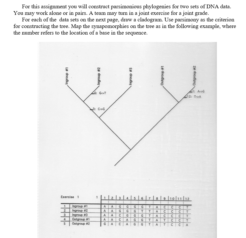 Solved For this assignment you will construct parsimonious | Chegg.com