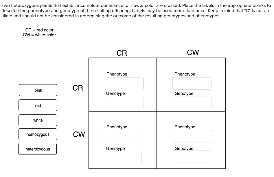 Solved Two heterozygous plants that exhibit incomplete | Chegg.com