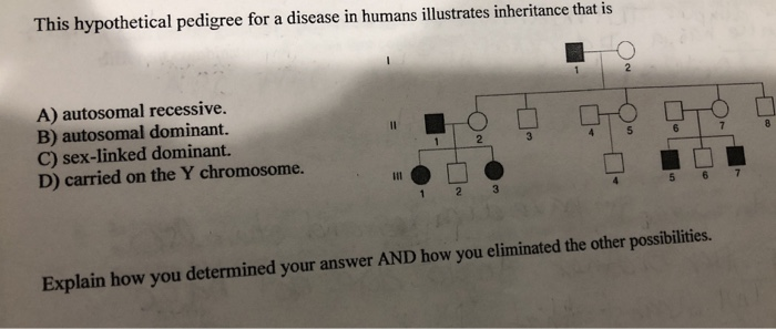 Solved This hypothetical pedigree for a disease in humans | Chegg.com