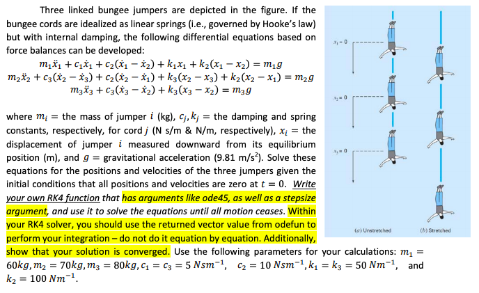 Three linked bungee jumpers are depicted in the | Chegg.com