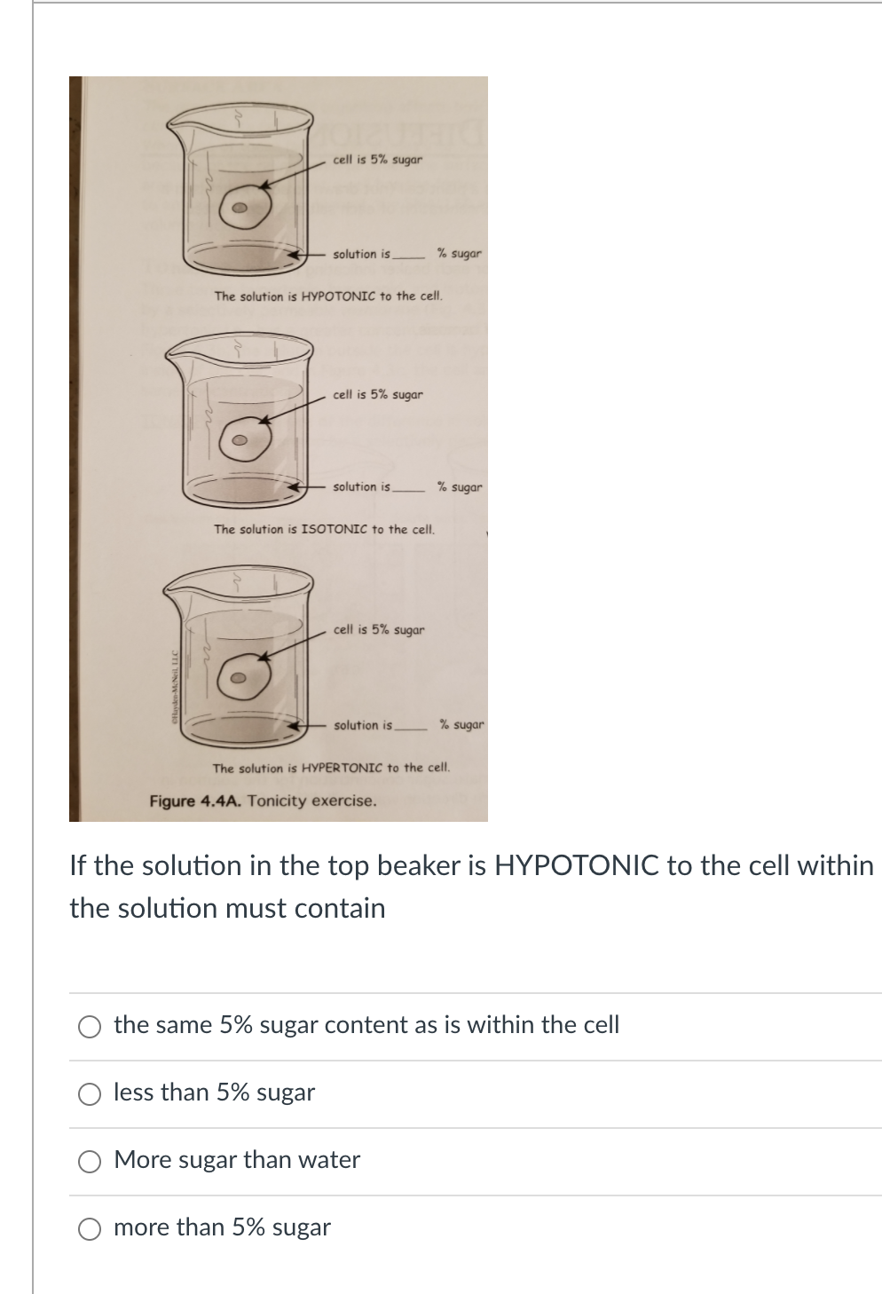 Solved cell is 5% sugar solution is % sugar The solution is | Chegg.com