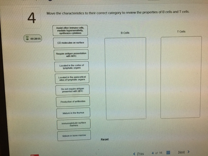 Solved 4 Move the characteristics to their correct category | Chegg.com