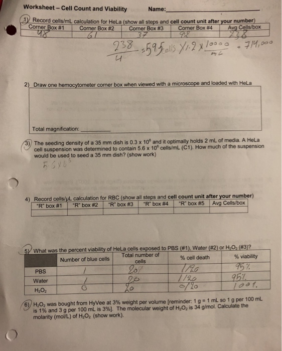 Solved Worksheet-Cell Count and Viability Name Record | Chegg.com