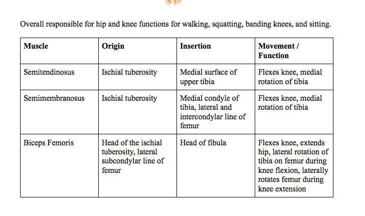 Solved Use this chart to make a poem about the muscles, | Chegg.com