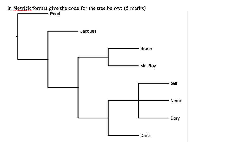 Solved In Newick format give the code for the tree below: (5 | Chegg.com