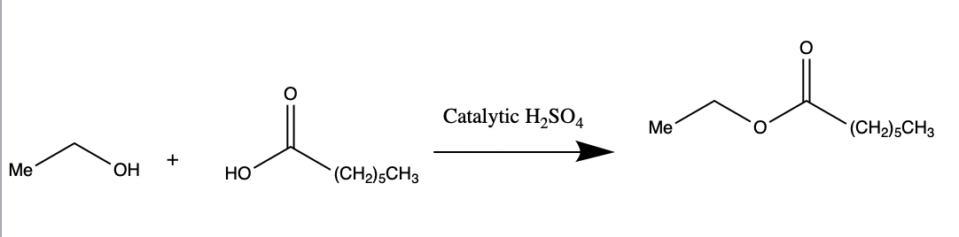 Solved O Catalytic H2SO4 Me (CH2).CH3 + Me OH HO (CH2)5CH3 | Chegg.com