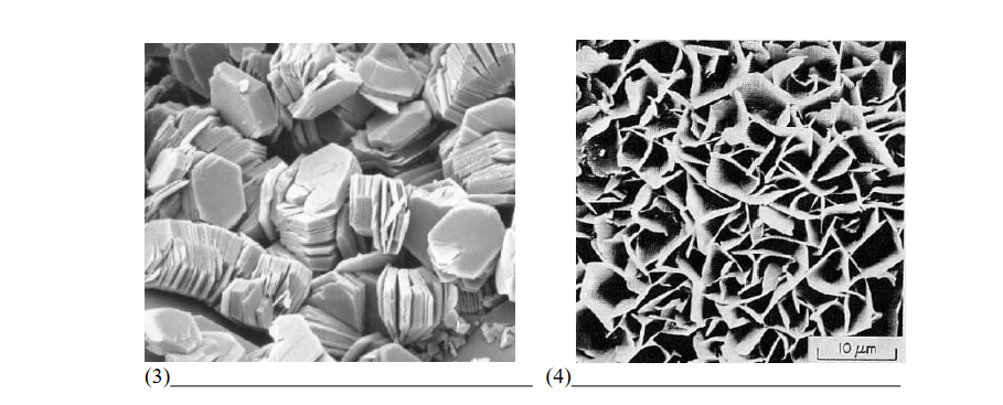 Solved Fill the blank spaces of the incomplete sentences | Chegg.com
