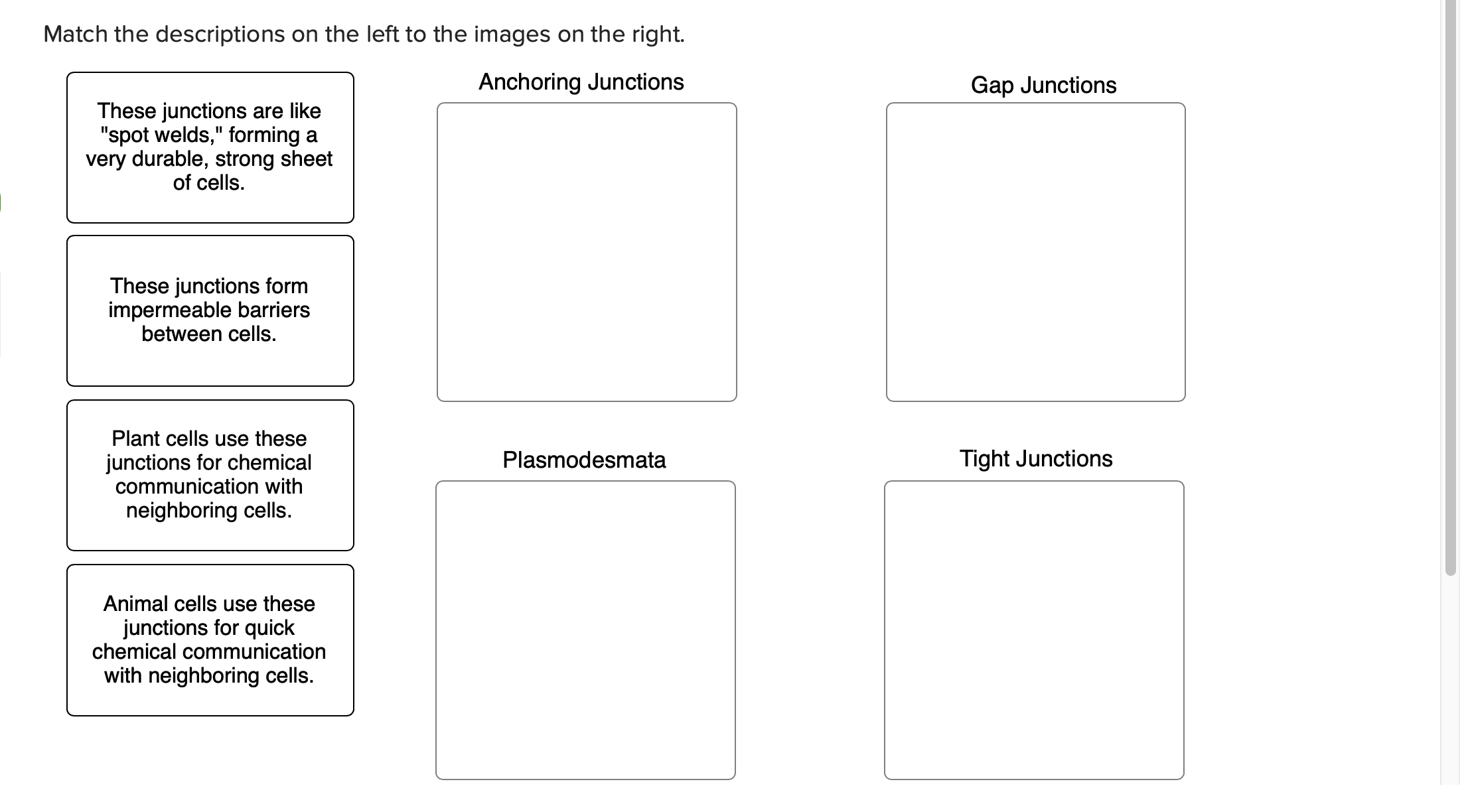 Solved Match the descriptions on the left to the images on | Chegg.com