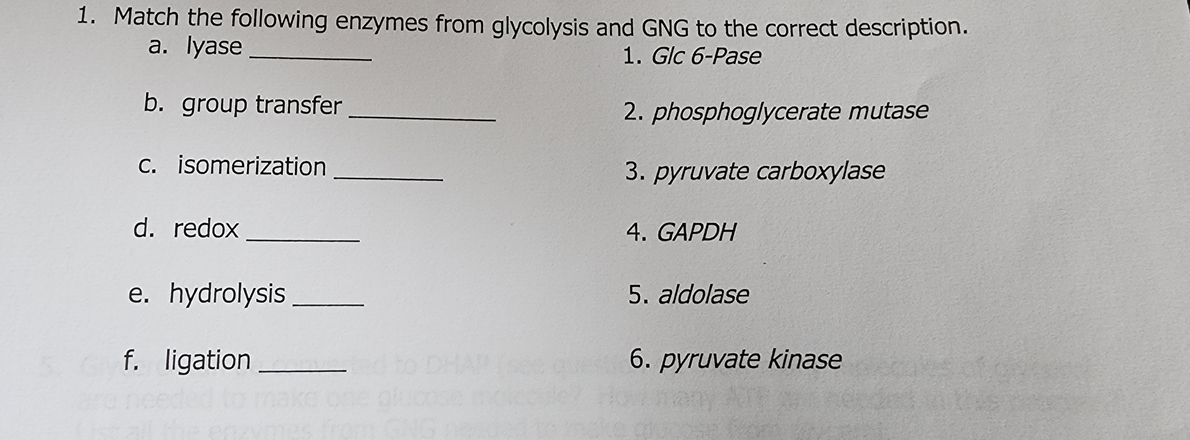 Solved Match the following enzymes from glycolysis and GNG | Chegg.com