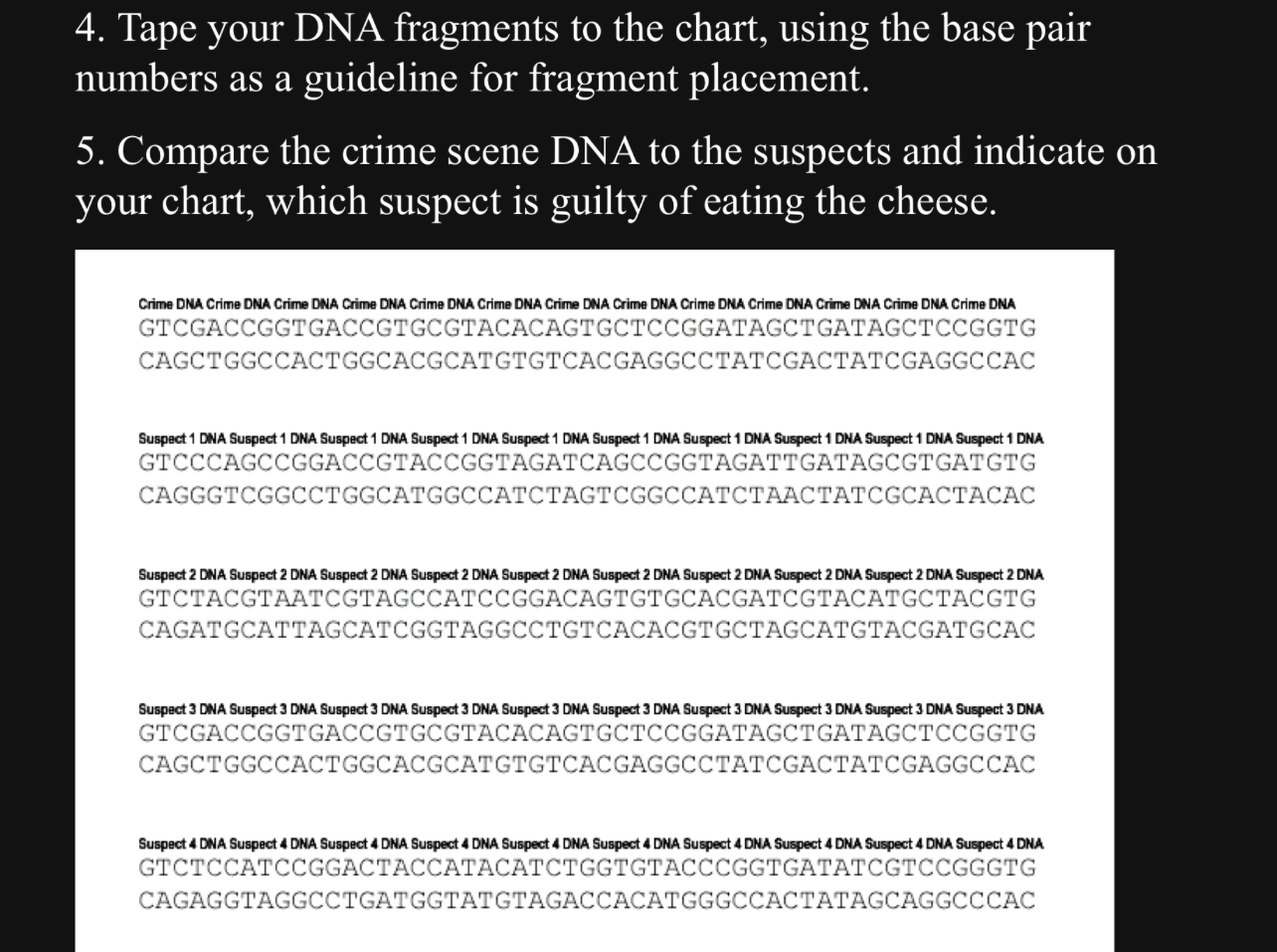 Solved 4. Tape your DNA fragments to the chart, using the | Chegg.com