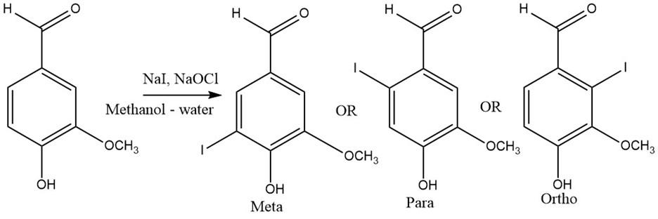Solved What role do the NaI and NaOCl play in the | Chegg.com