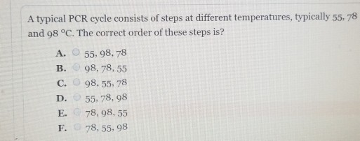Solved A typical PCR cycle consists of steps at different | Chegg.com