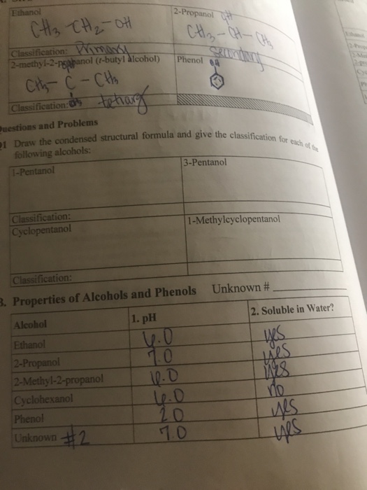 Solved Ethanol 2-Propanol eua 2-Methyl- Cyclohexanol Phenol | Chegg.com