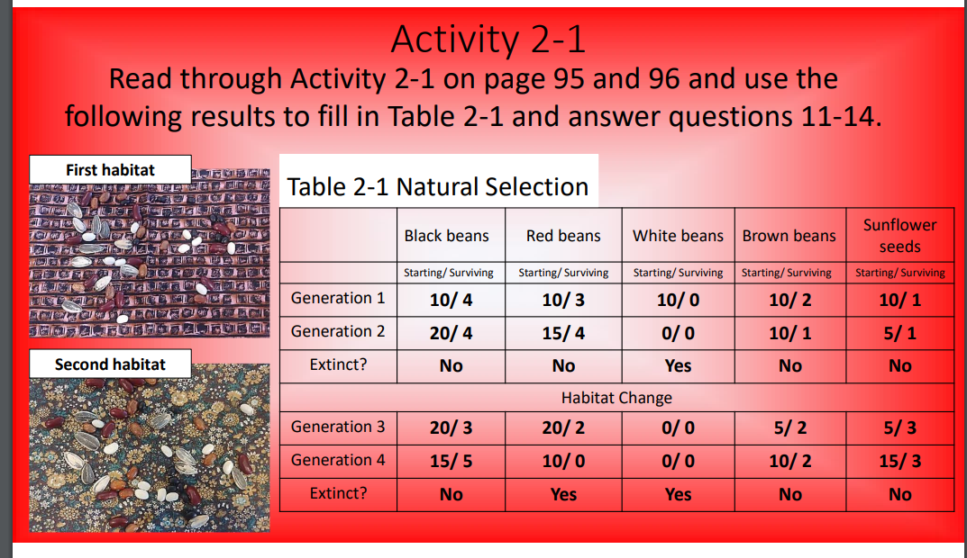 Solved Activity 2-1 Table 2-1 Natural selection Black beans | Chegg.com