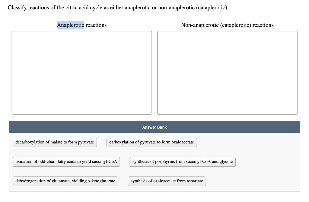 Solved Classify reactions of the citric acid cycle as either | Chegg.com