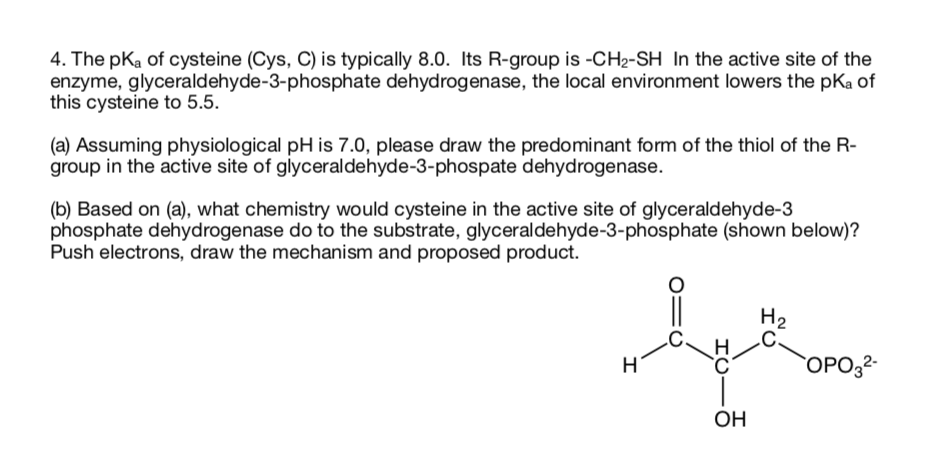 Solved 4. The pka of cysteine (Cys, C) is typically 8.0. Its | Chegg.com