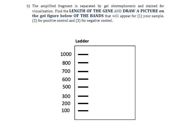 Solved 2. Restriction enzyme mapping of a linear gene | Chegg.com