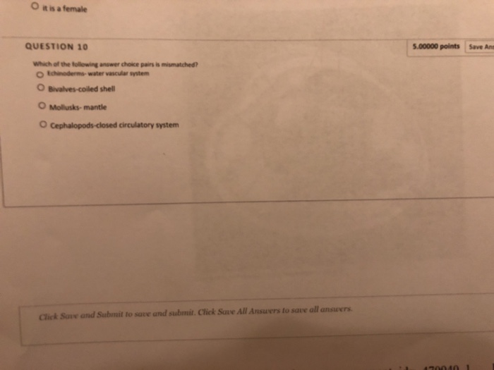 Solved O it is a female QUESTION 10 5.00000 points Save Ans | Chegg.com