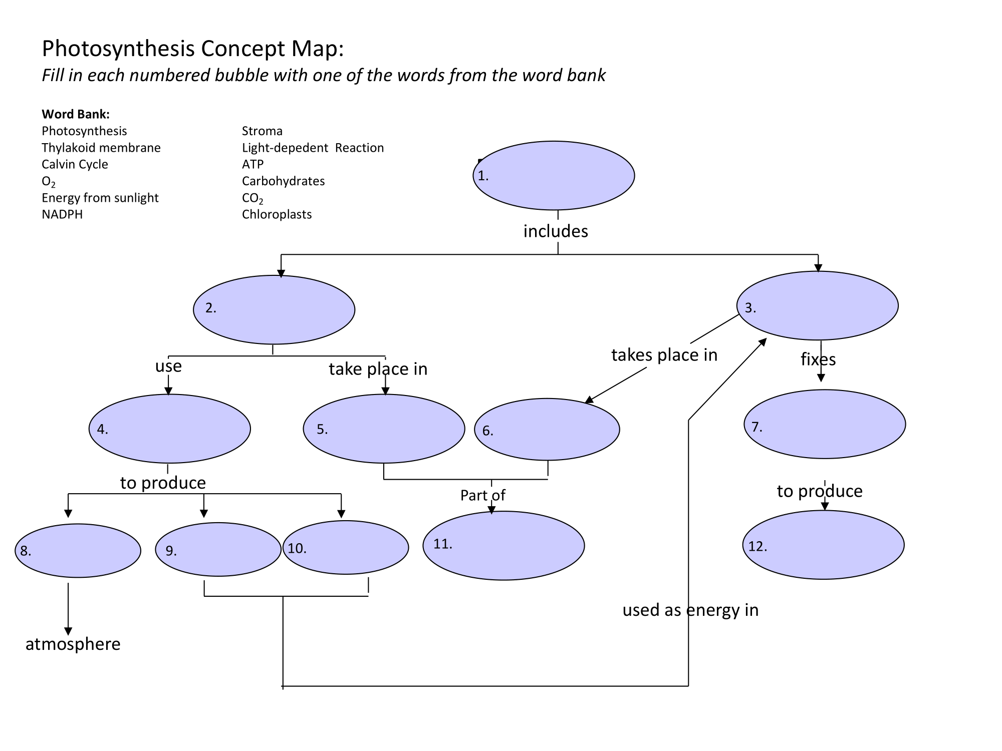 Solved Photosynthesis Concept MapFill in each numbered | Chegg.com