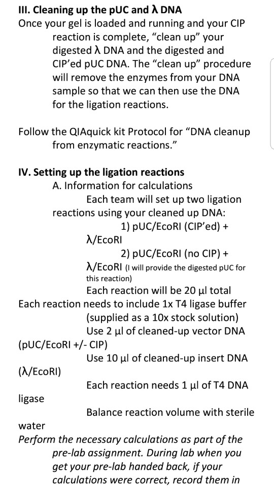 Solved 2. Why did we treat digested pUC19 DNA with the CIP | Chegg.com