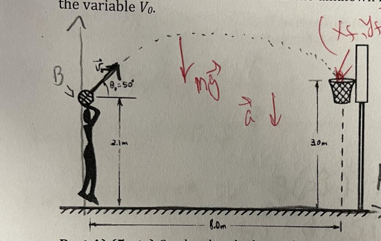 Solved A basketball player shoots a jump shot releasing the | Chegg.com