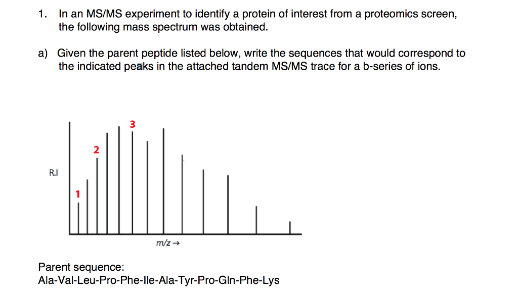 1. In an MS/MS experiment to identify a protein of | Chegg.com