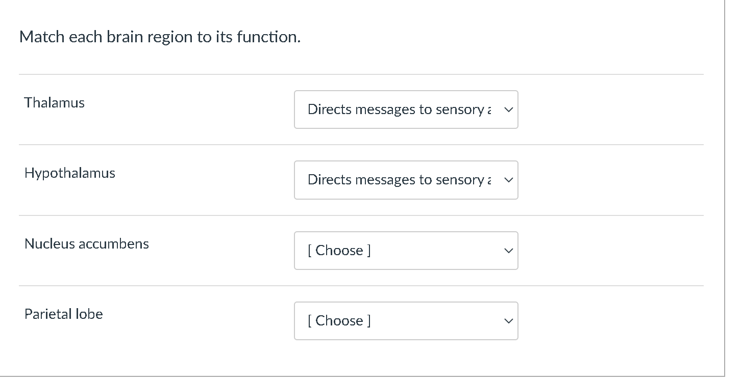Solved Match each brain region to its function. Thalamus | Chegg.com