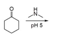 Solved H30* HO HCl(trace) . H2O он НО + ? H2NET Na CNBH3 | Chegg.com