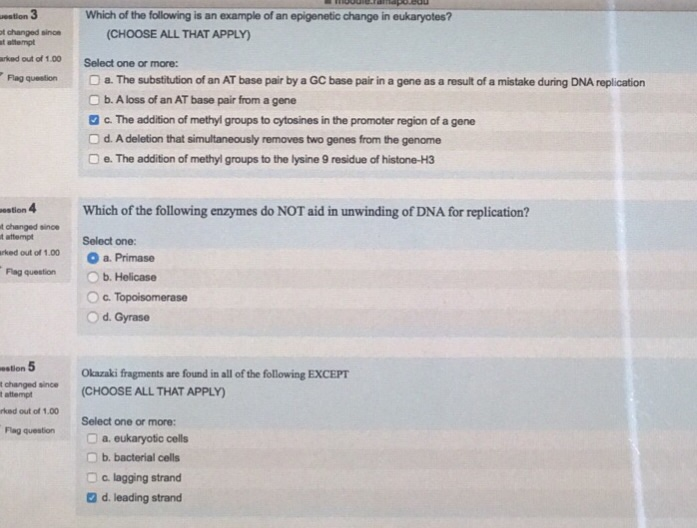 Solved Which of the following is an example of an epigenetic | Chegg.com