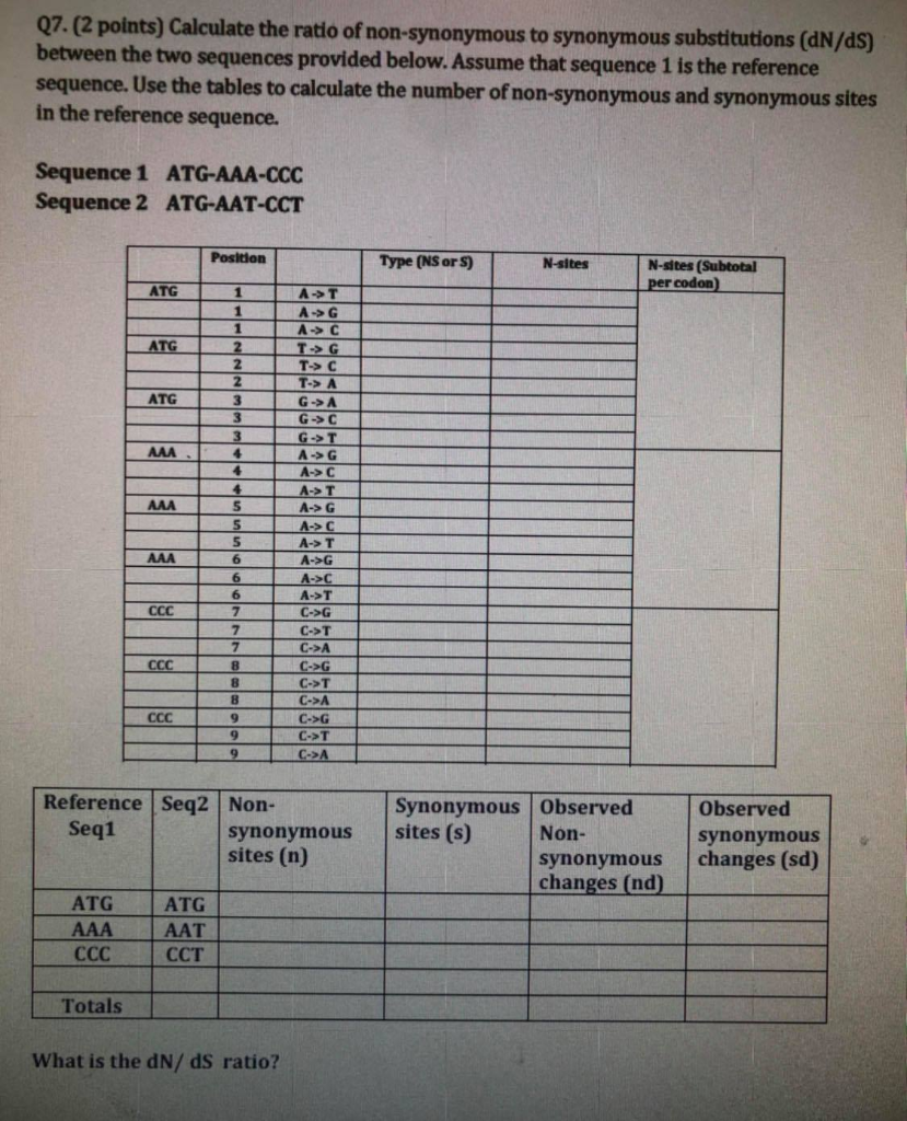 Solved 07. (2 points) Calculate the ratio of non-synonymous | Chegg.com