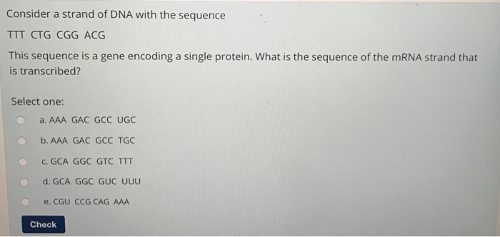Solved Consider a strand of DNA with the sequence TTT CTG | Chegg.com