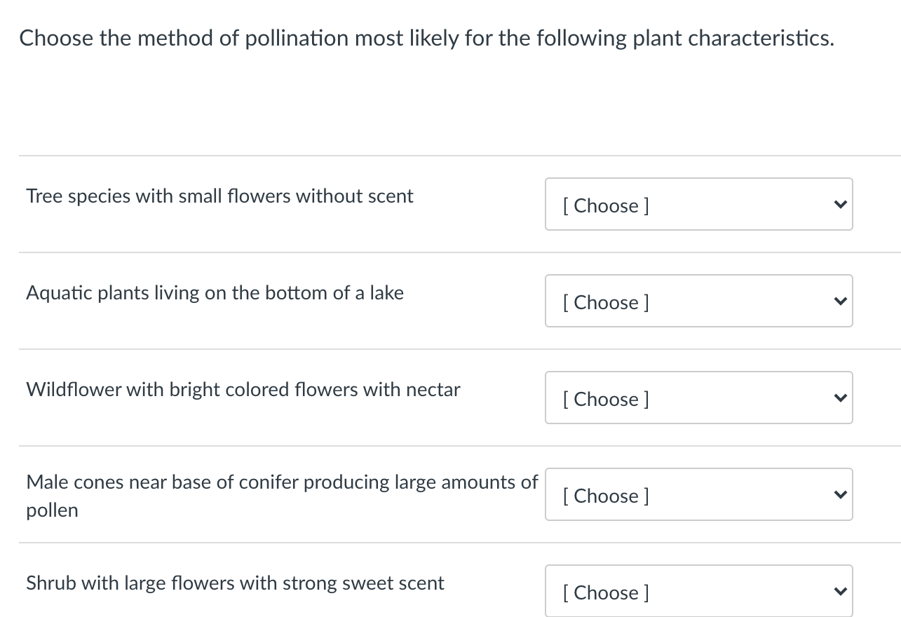 Solved Could someone help me with this question. The options | Chegg.com