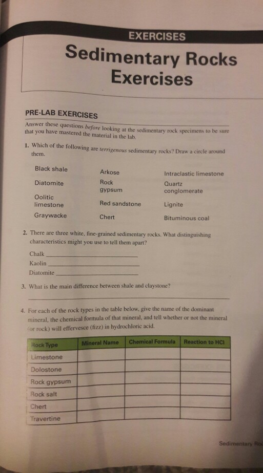 Solved EXERCISES Sedimentary Rocks Exercises PRE-LAB | Chegg.com