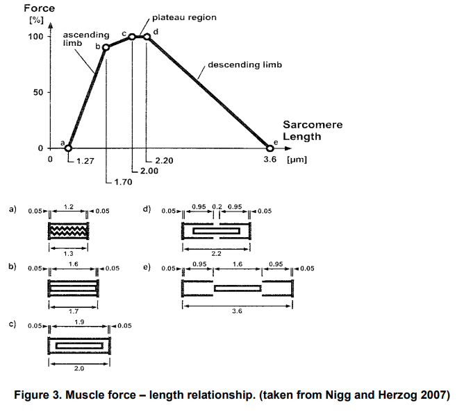 The following figure (Figure 3) shows the graph of | Chegg.com