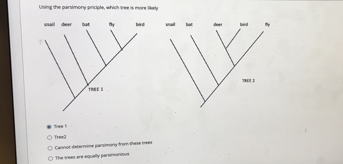 Solved Using the parsimony priciple, which tree is more | Chegg.com