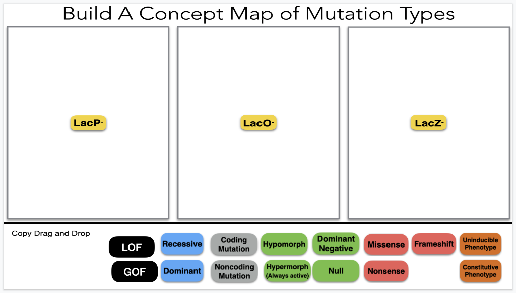 Build A Concept Map of Mutation Types | Chegg.com