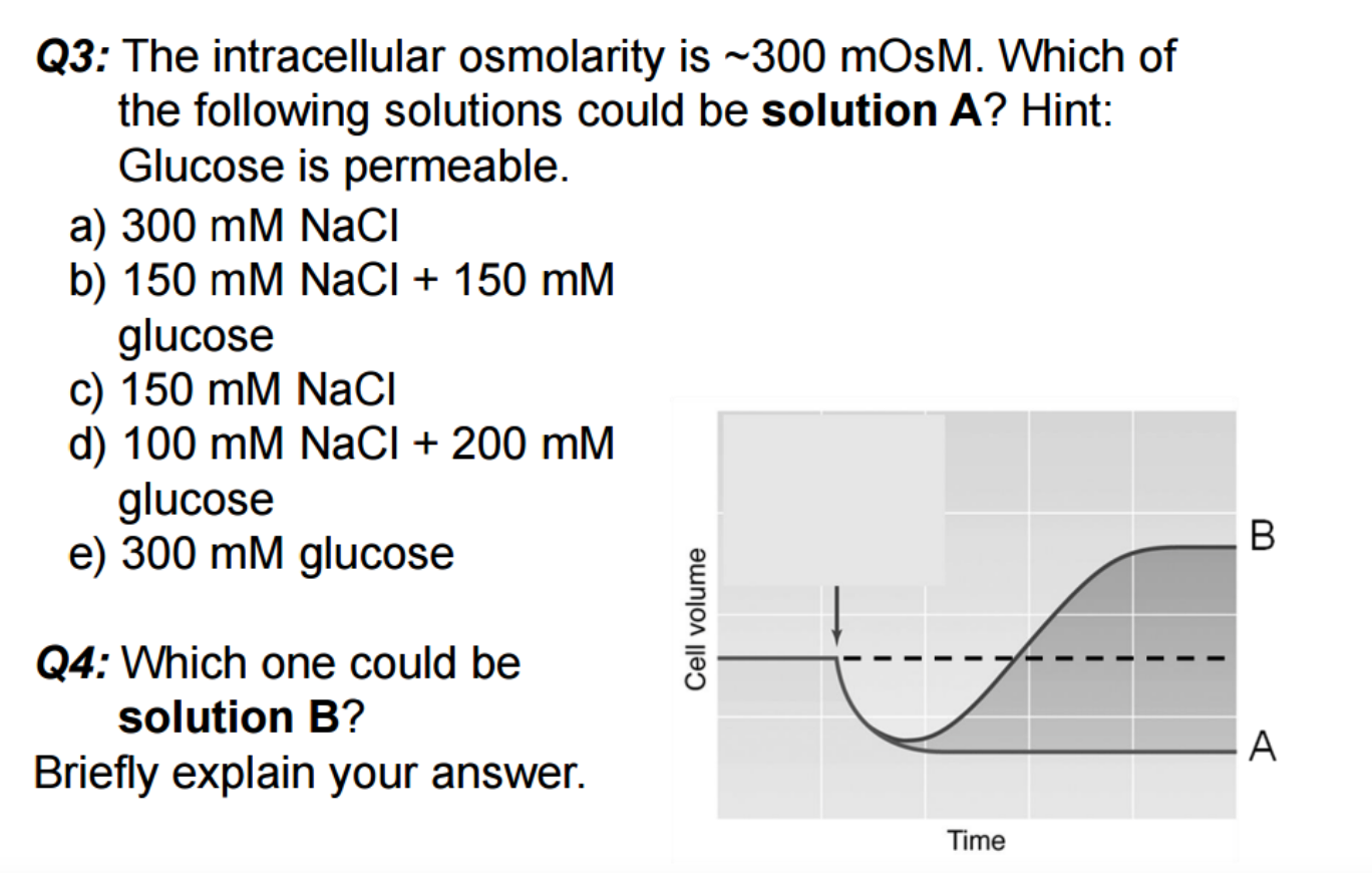 Solved Q3: The intracellular osmolarity is ~300 mOsM. Which | Chegg.com