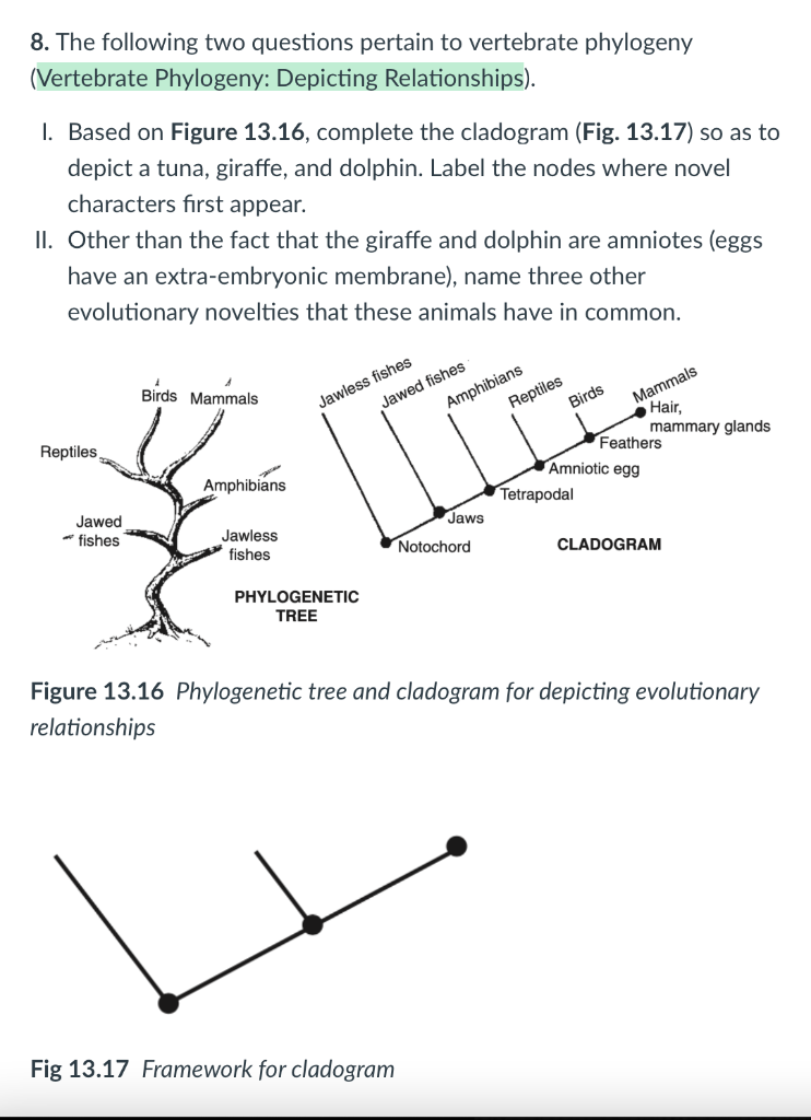 Solved 8. The following two questions pertain to vertebrate | Chegg.com