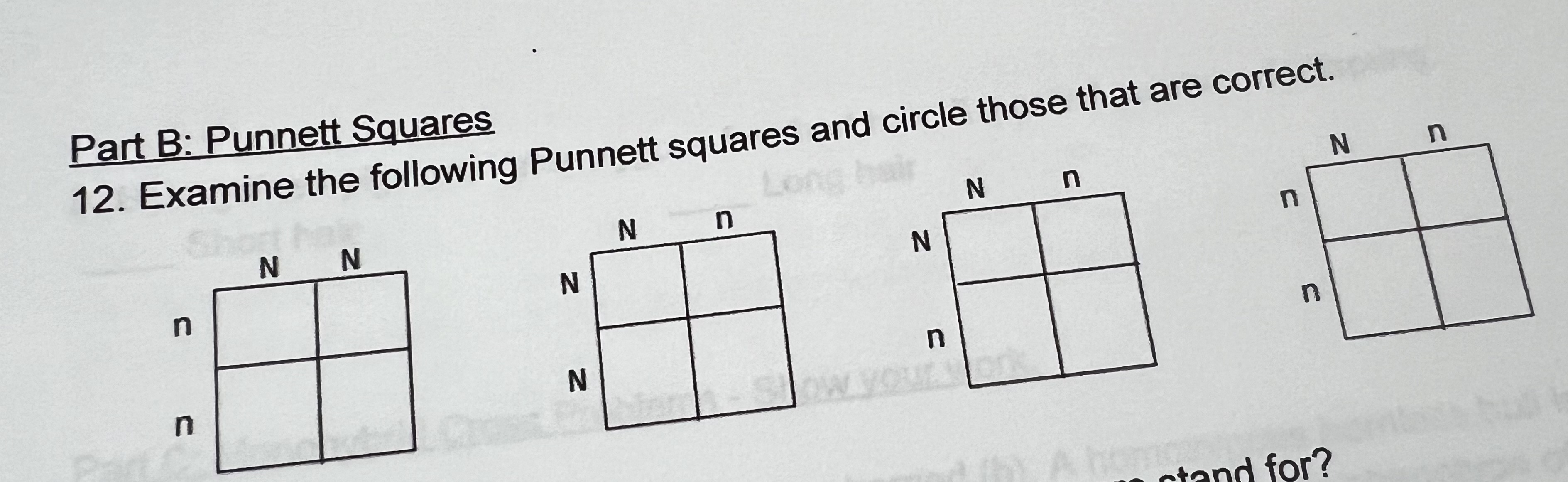 [Solved]: Part B: Punnett Squares Examine the following Pun