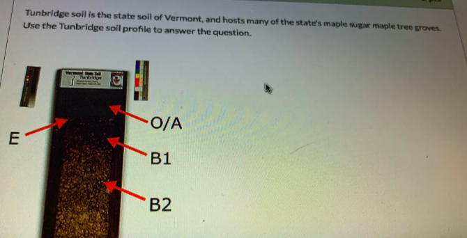 Solved Tunbridge soil is the state soil of Vermont, and | Chegg.com